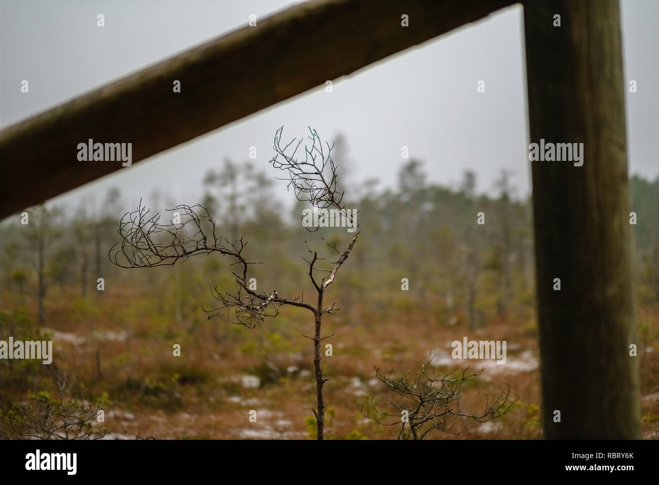 watchtower details and wooden bars, stairs and walls from below up ...