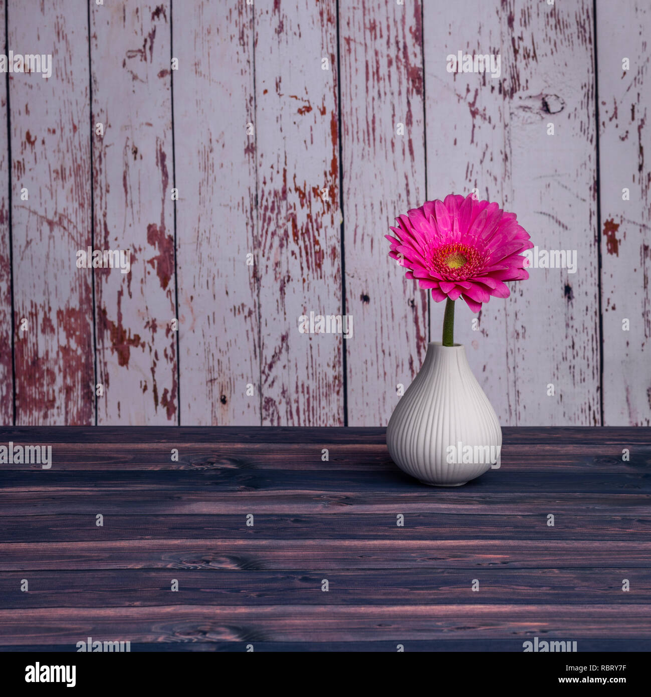 Still life background, gerber daisy in a vase Stock Photo - Alamy