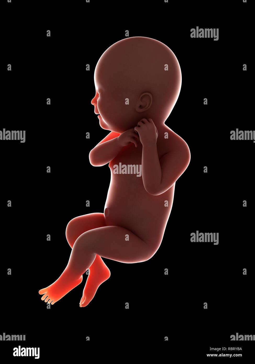 Pregnancy week 39 hi-res stock photography and images - Alamy