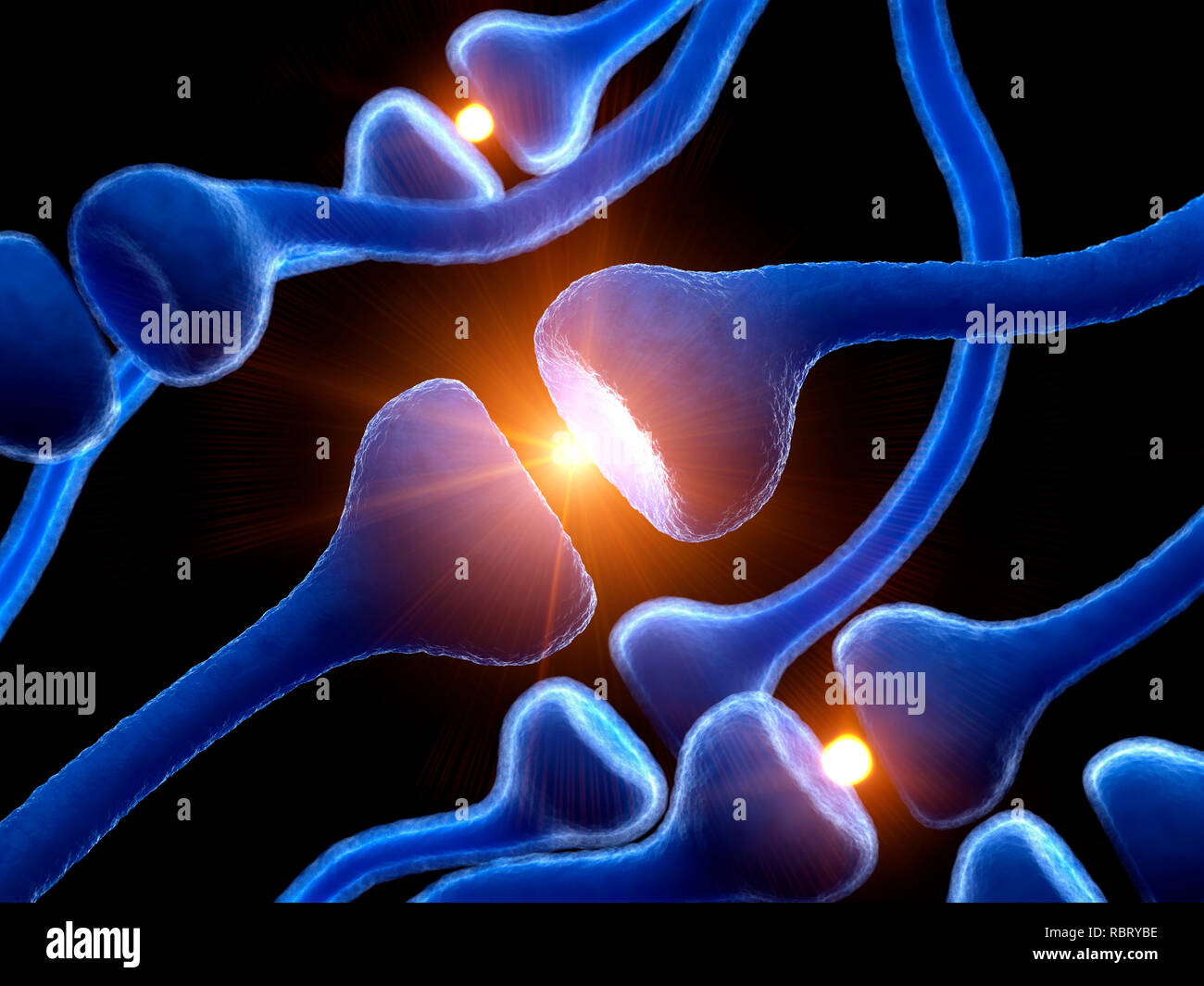 Receptors brain hi-res stock photography and images - Alamy