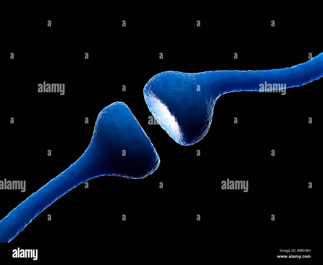 Illustration of human receptors Stock Photo - Alamy