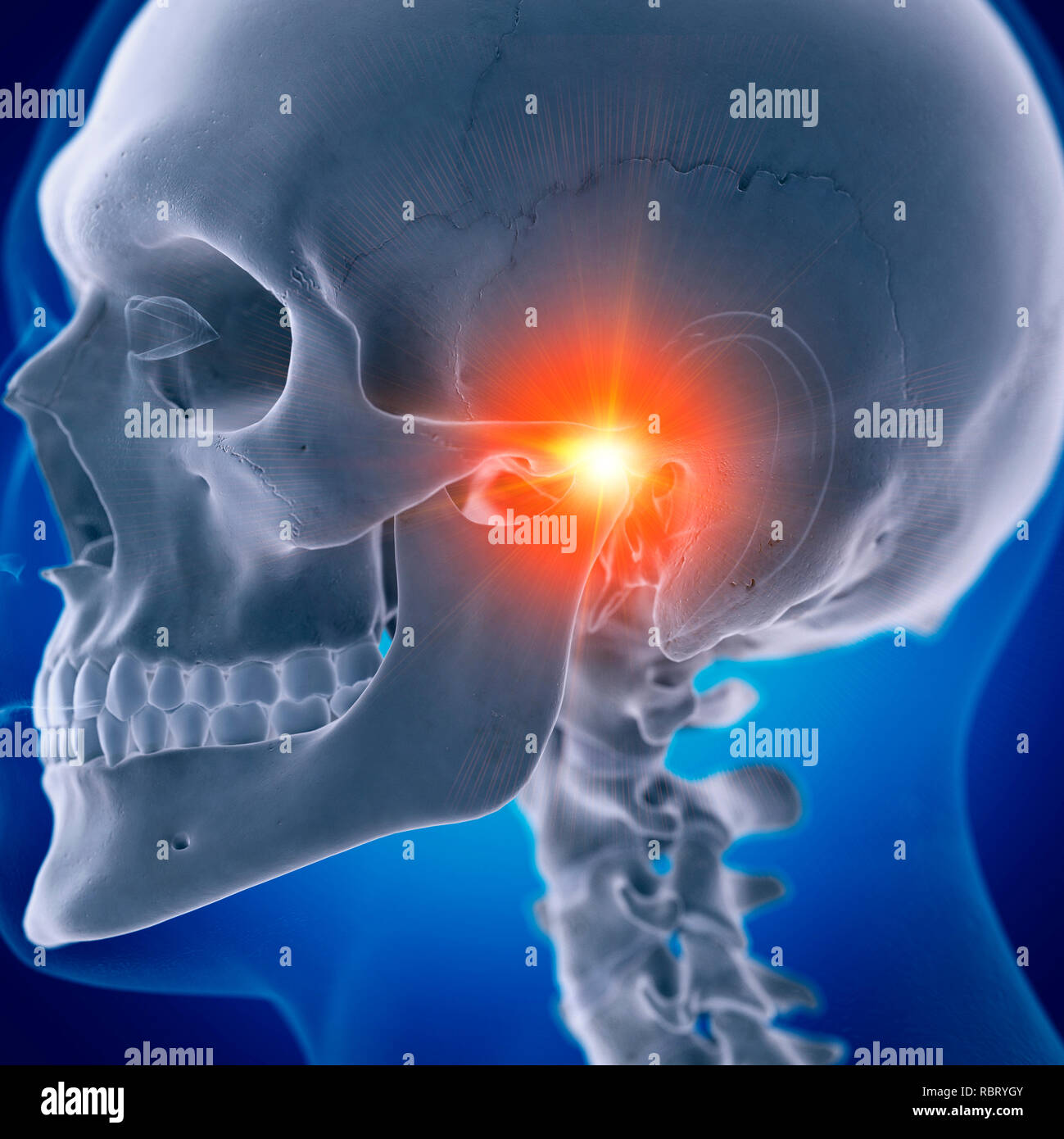 Temporomandibular joint hi-res stock photography and images - Alamy