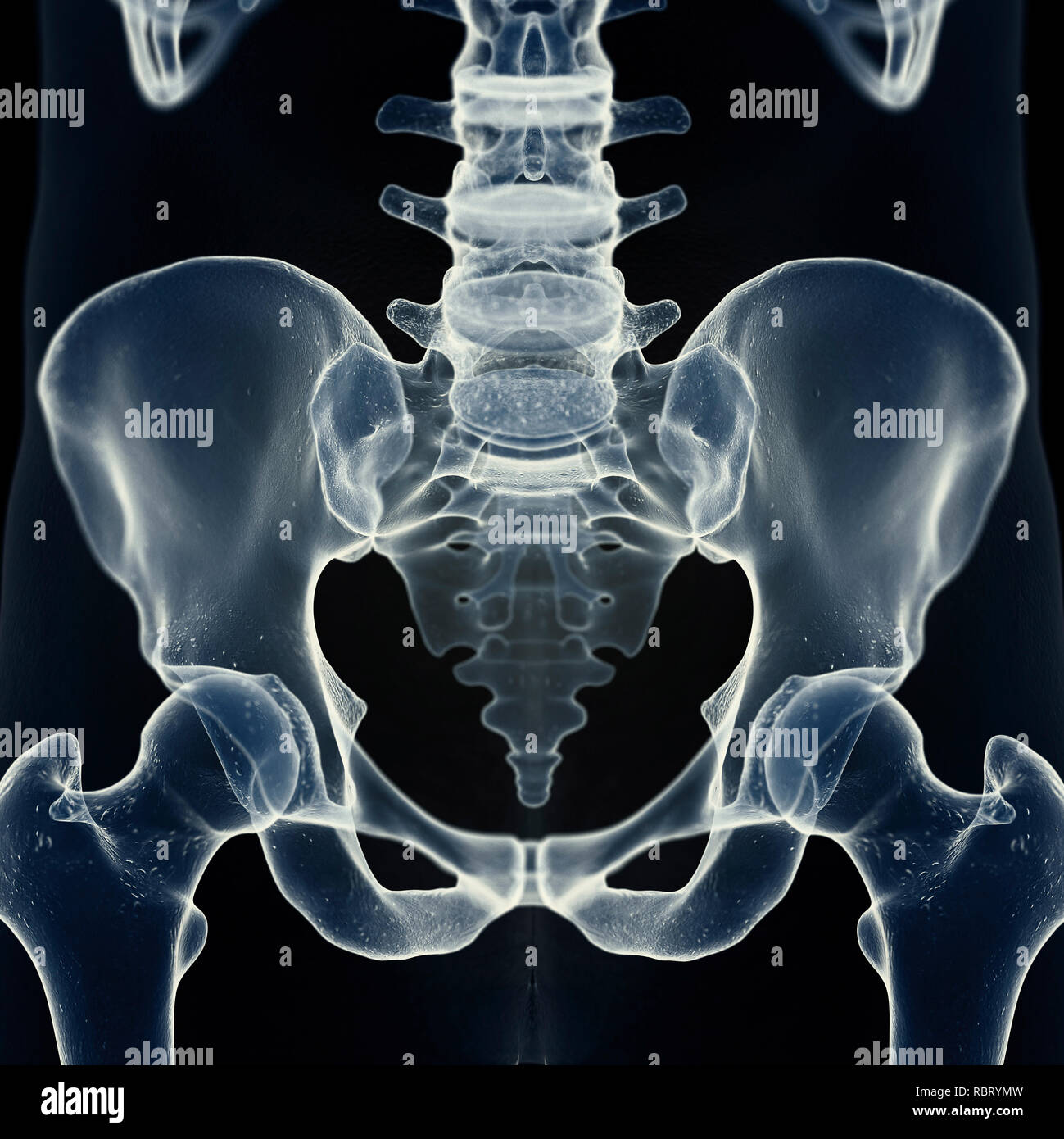 Illustration of the sacrum Stock Photo - Alamy