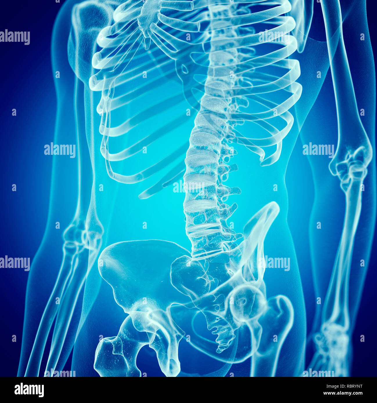 X Ray Lower Back High Resolution Stock Photography and Images - Alamy