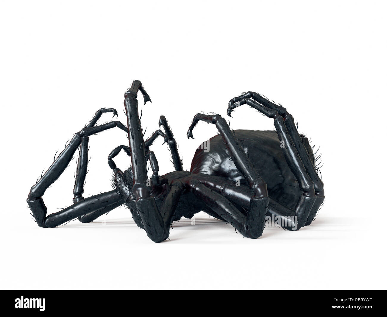 Illustration of a spider Stock Photo - Alamy