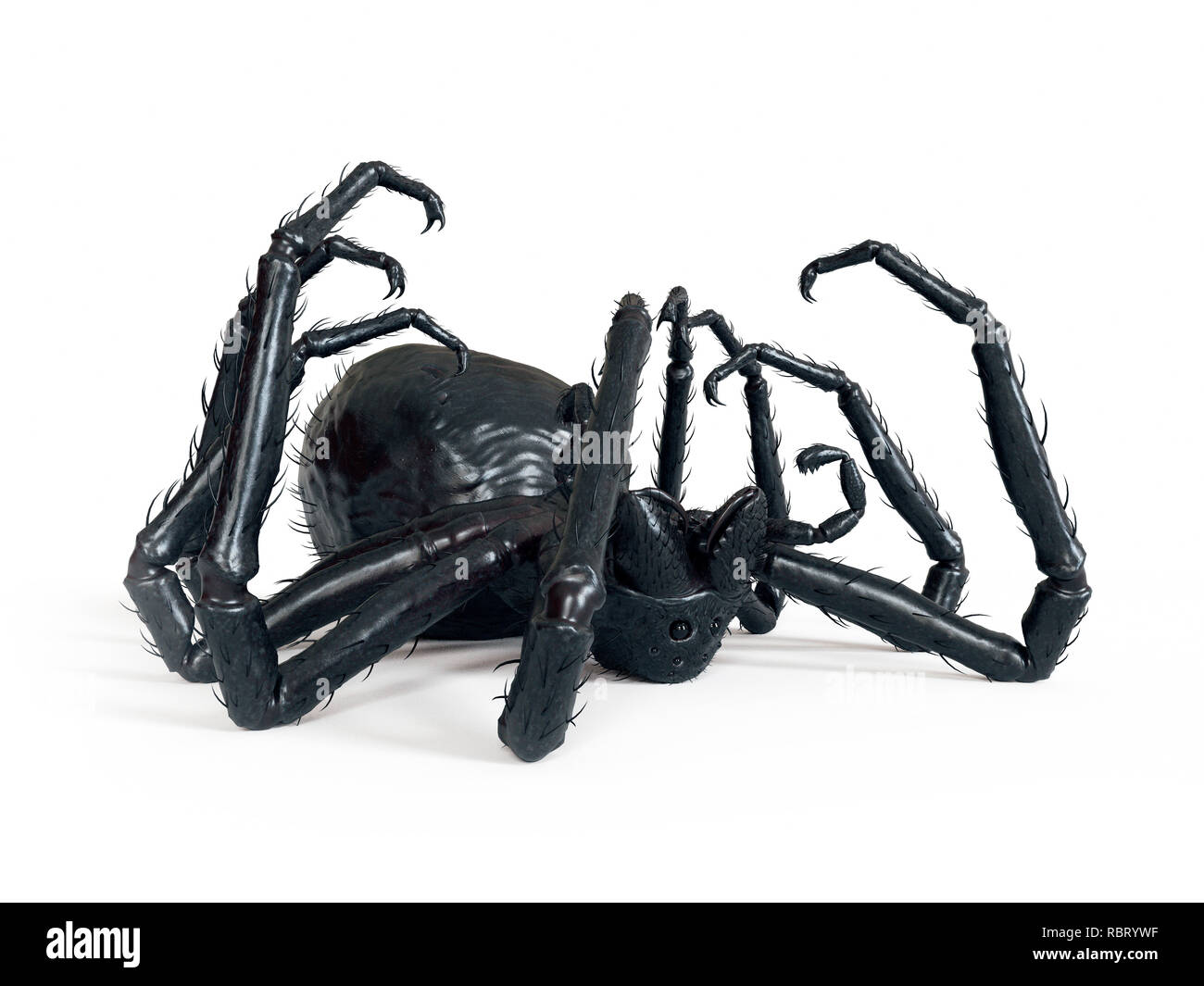 Illustration of a spider Stock Photo - Alamy