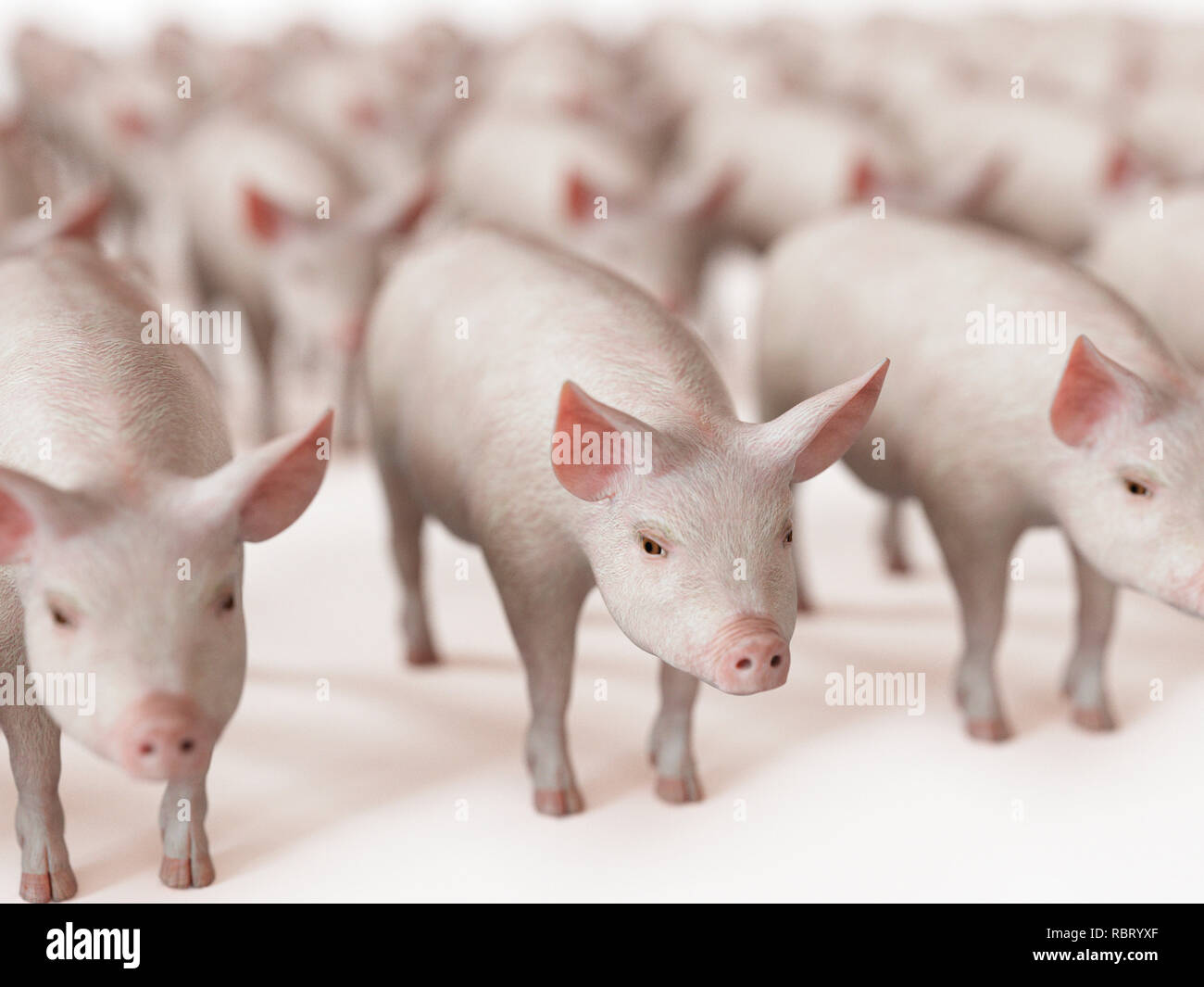 Pig illustration meat hi-res stock photography and images - Alamy