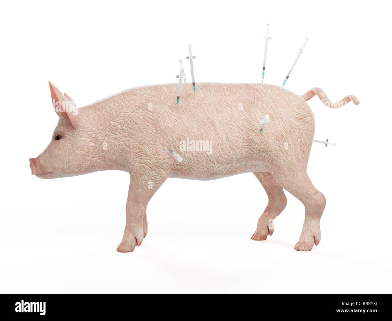 Illustration of syringes stuck in a pig Stock Photo - Alamy