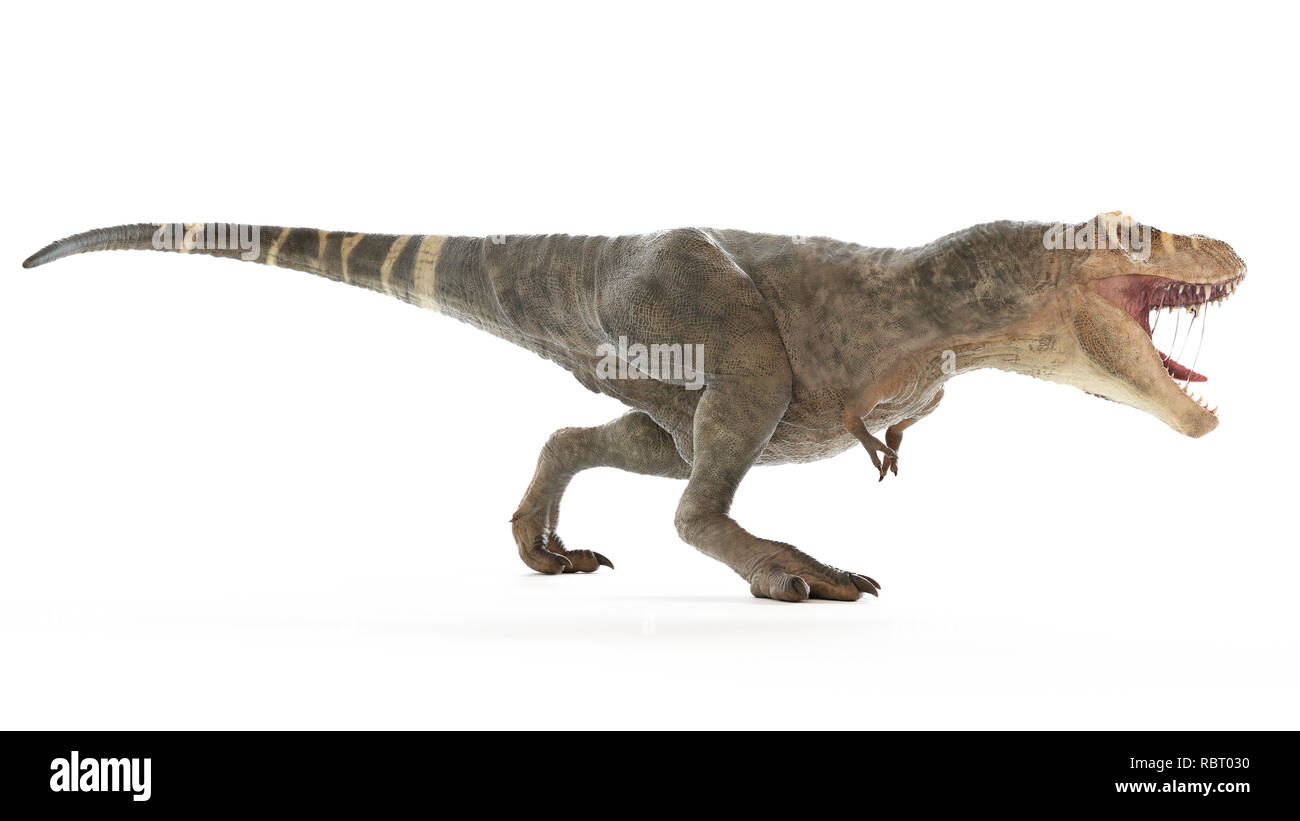 Illustration of a T-rex Stock Photo - Alamy