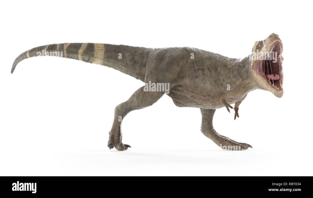 Illustration of a T-rex Stock Photo - Alamy