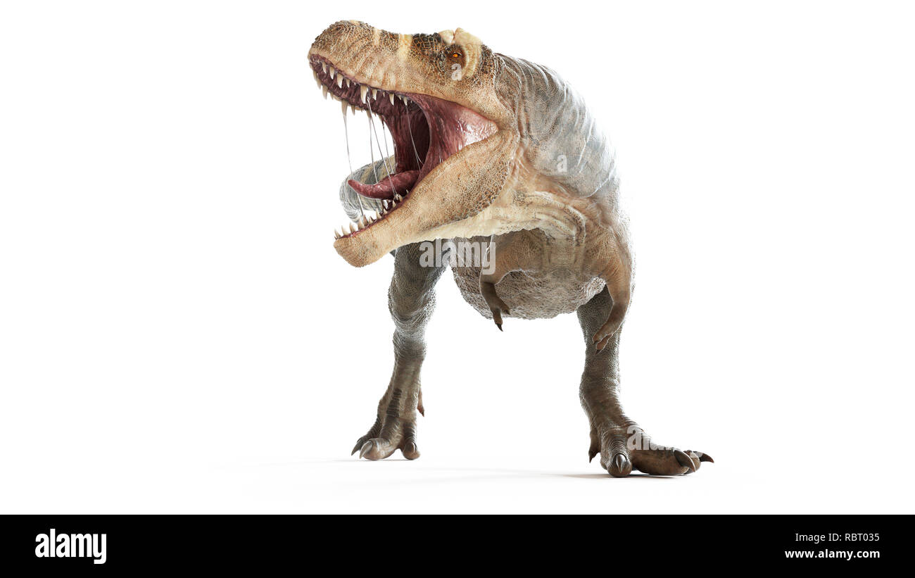 Illustration of a T-rex Stock Photo - Alamy