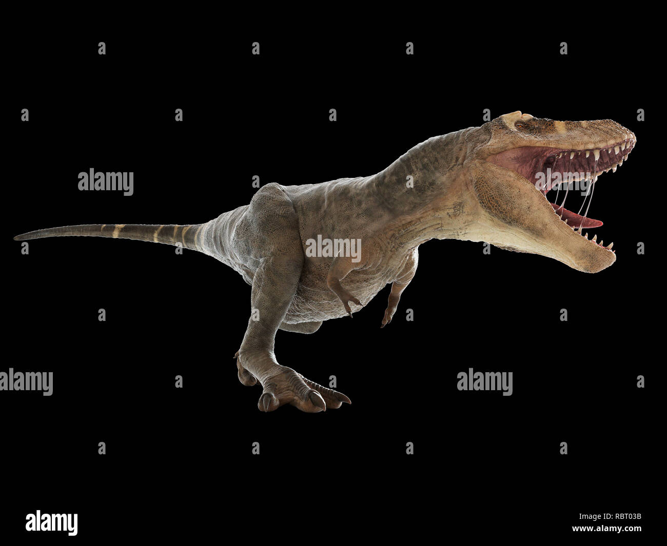 Illustration of a T-rex Stock Photo - Alamy