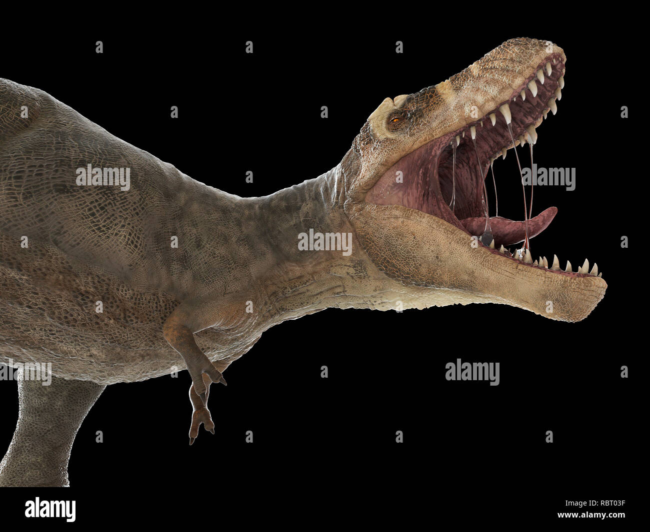 Illustration of a T-rex Stock Photo - Alamy