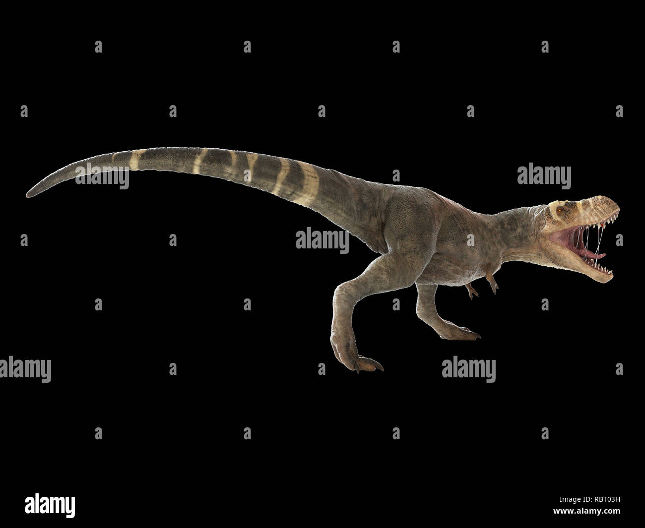Illustration of a T-rex Stock Photo - Alamy