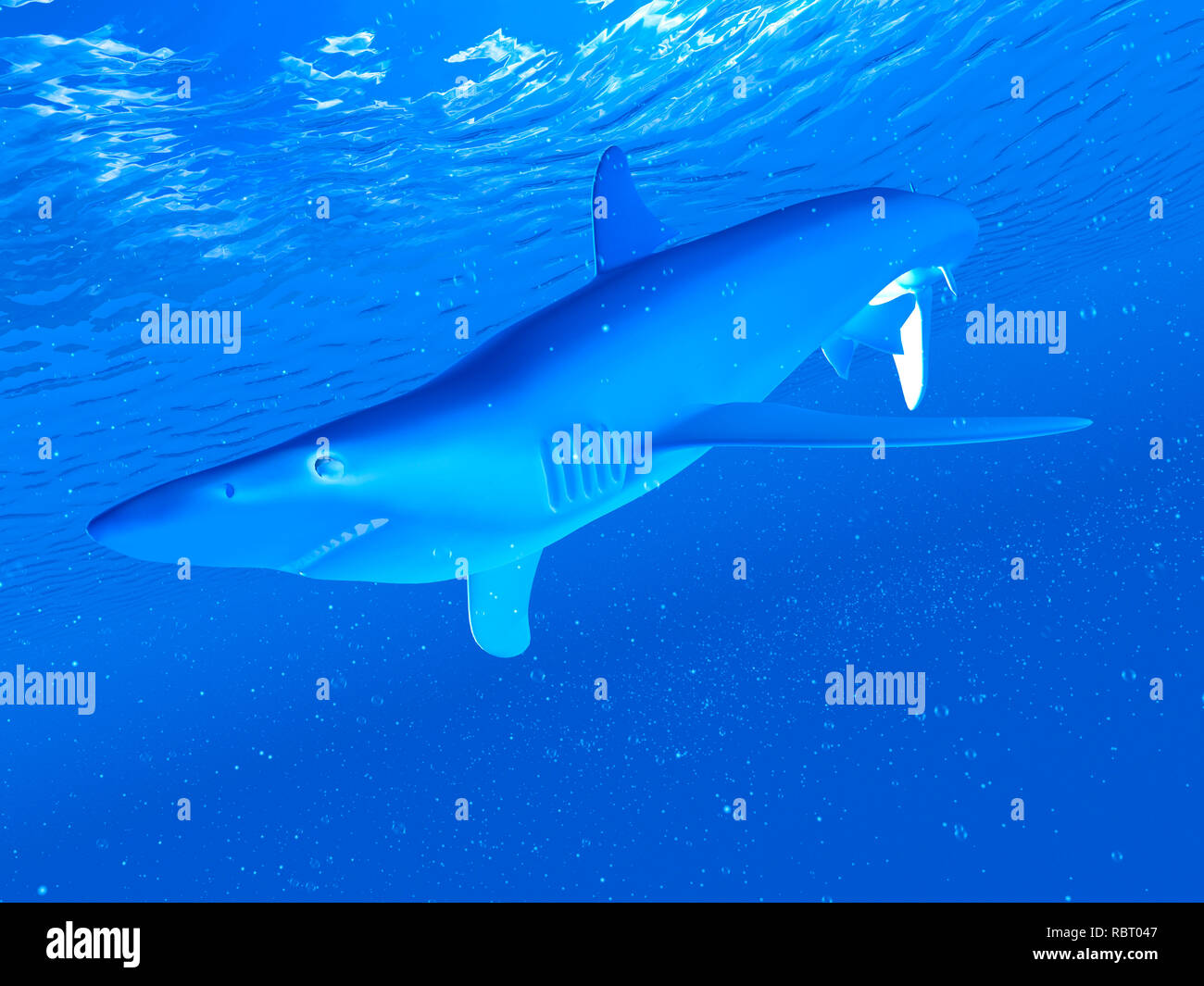 Illustration of a blue shark Stock Photo - Alamy