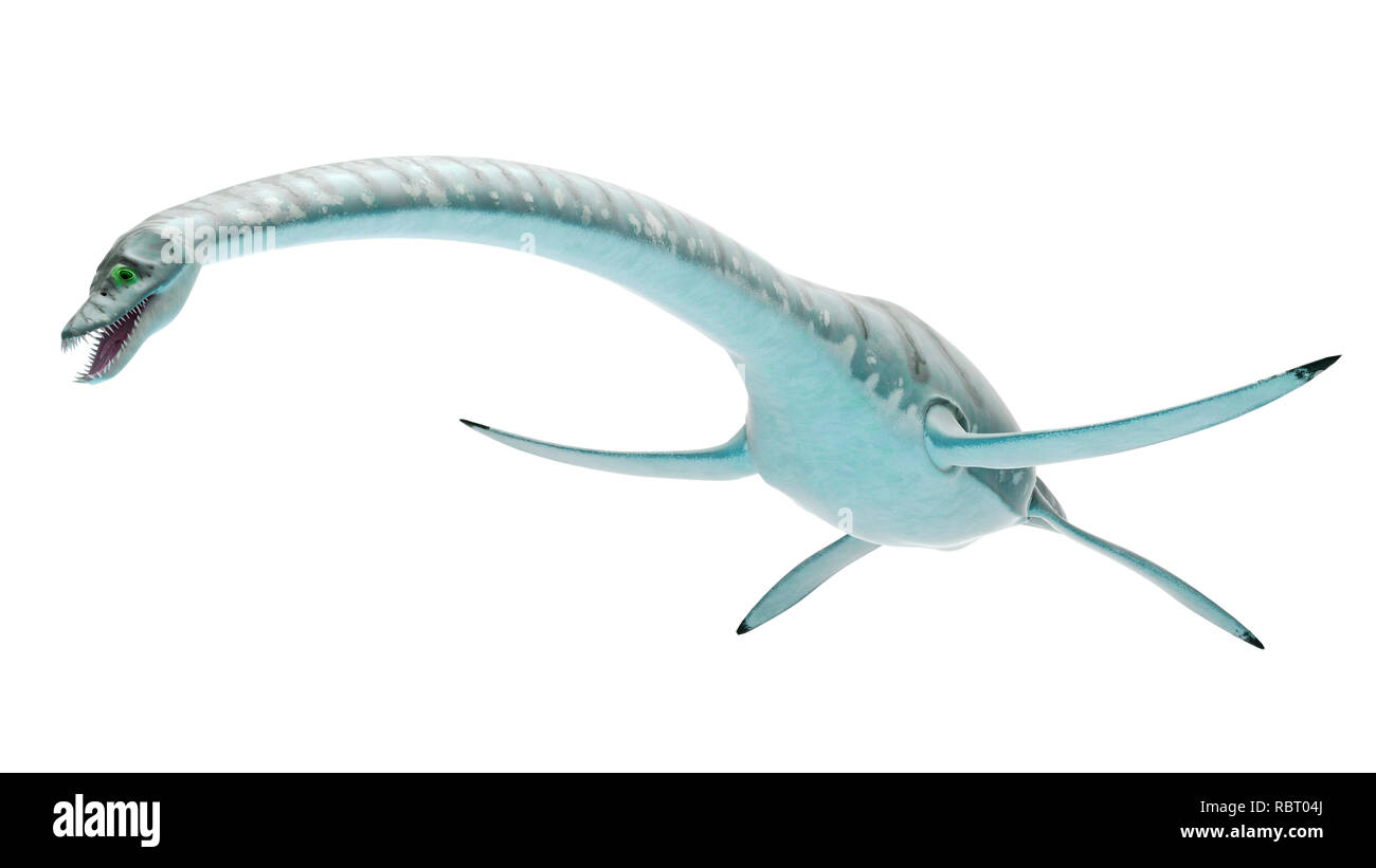 Monstrosities hi-res stock photography and images - Alamy