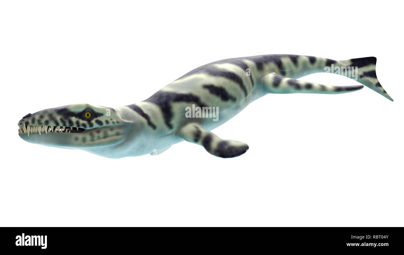 Illustration of a dakosaurus Stock Photo - Alamy