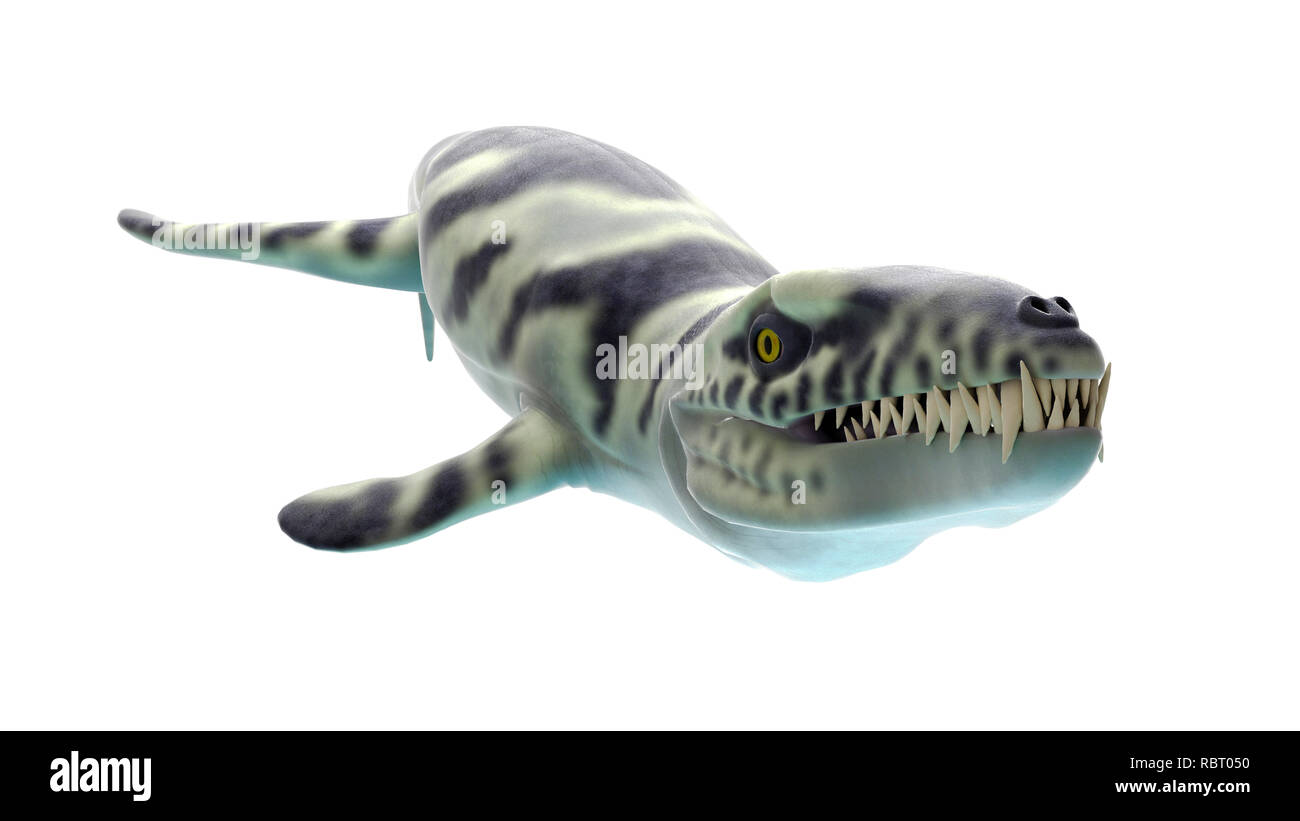 Illustration of a dakosaurus Stock Photo - Alamy