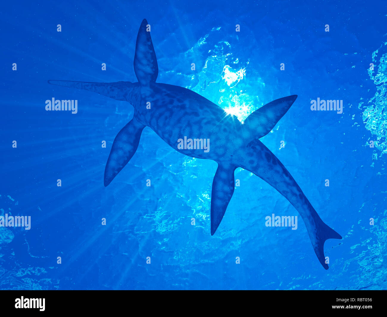 Shonisaurus hi-res stock photography and images - Alamy