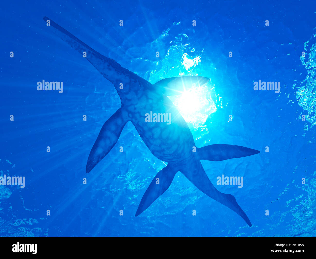 Shonisaurus hi-res stock photography and images - Alamy