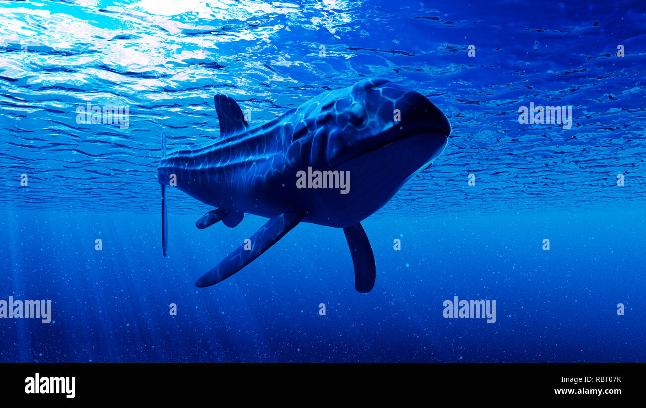 Leedsichthys hi-res stock photography and images - Alamy
