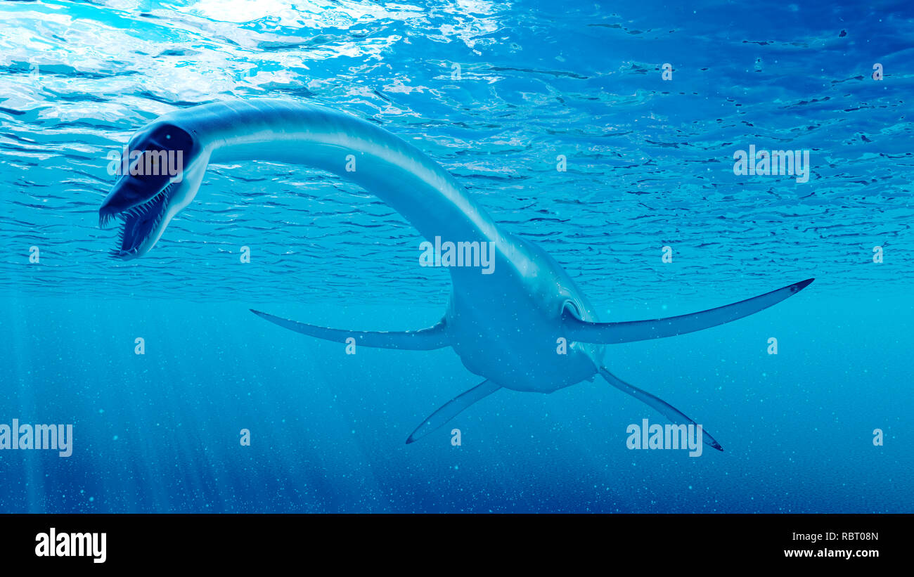 Illustration of a styxosaurus Stock Photo - Alamy