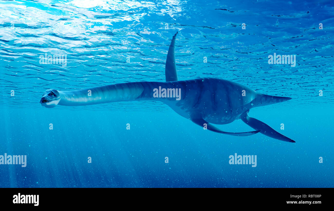 Illustration of a styxosaurus Stock Photo - Alamy