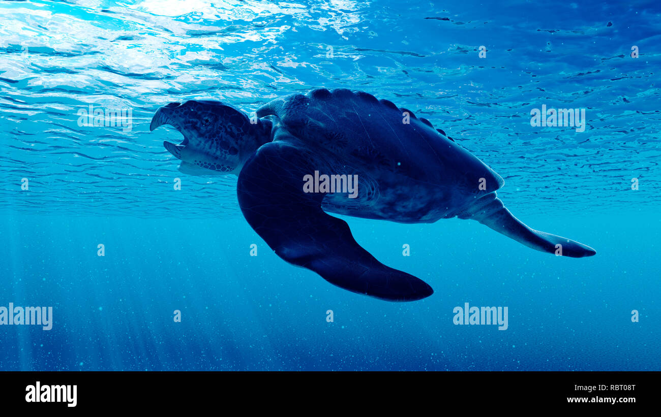 Illustration of an archelon Stock Photo - Alamy