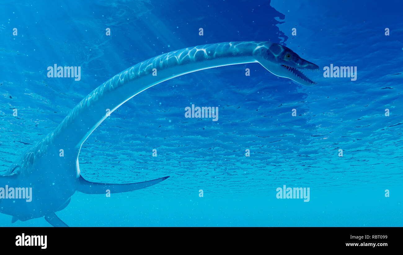 Jurassic sea life hi-res stock photography and images - Alamy