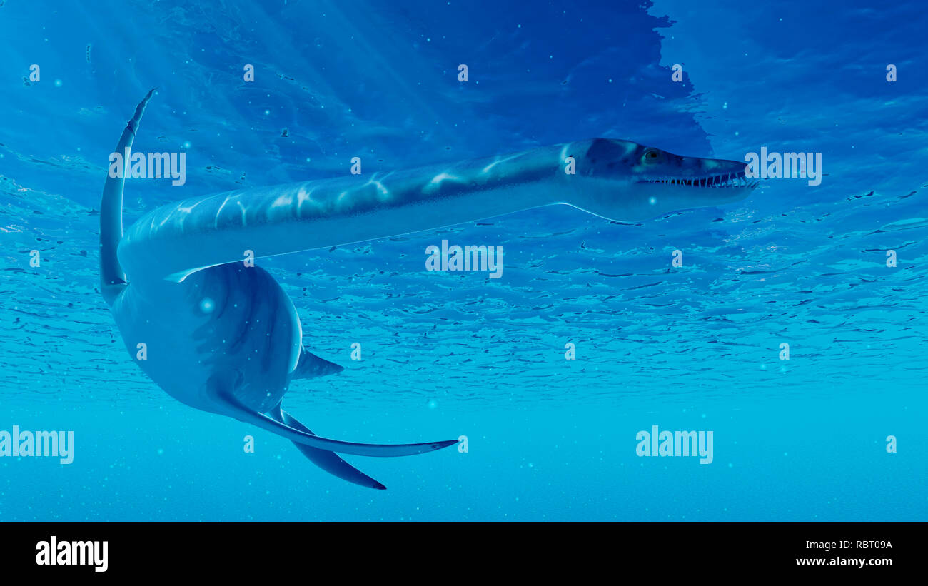Illustration of an styxosaurus Stock Photo - Alamy