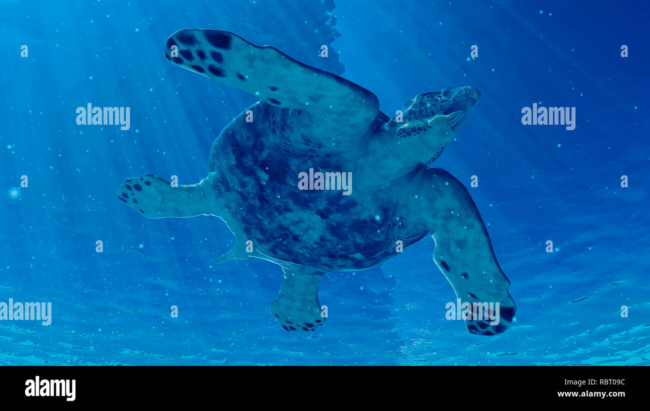 Archelon hi-res stock photography and images - Alamy