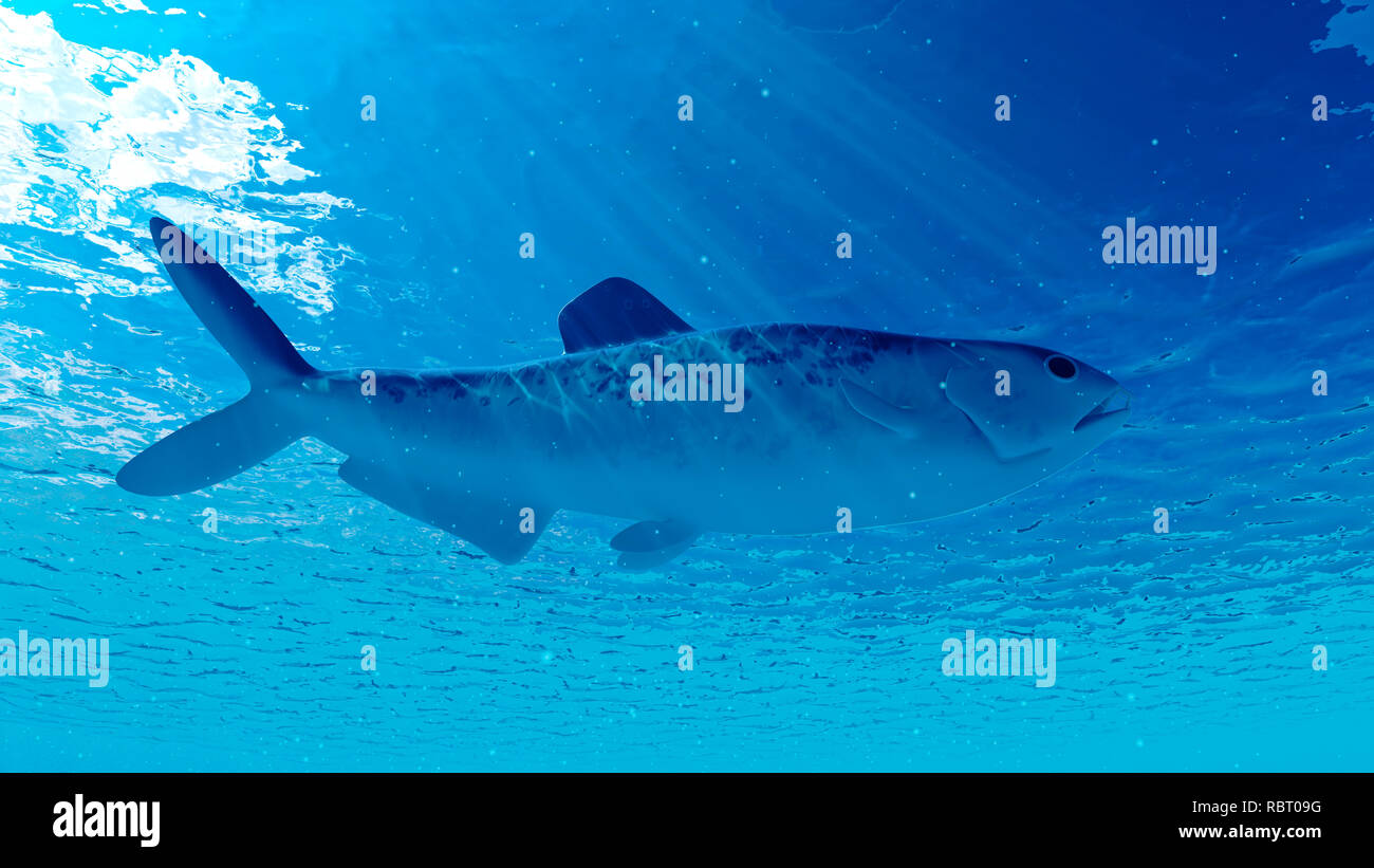 Illustration of an enchodus Stock Photo - Alamy