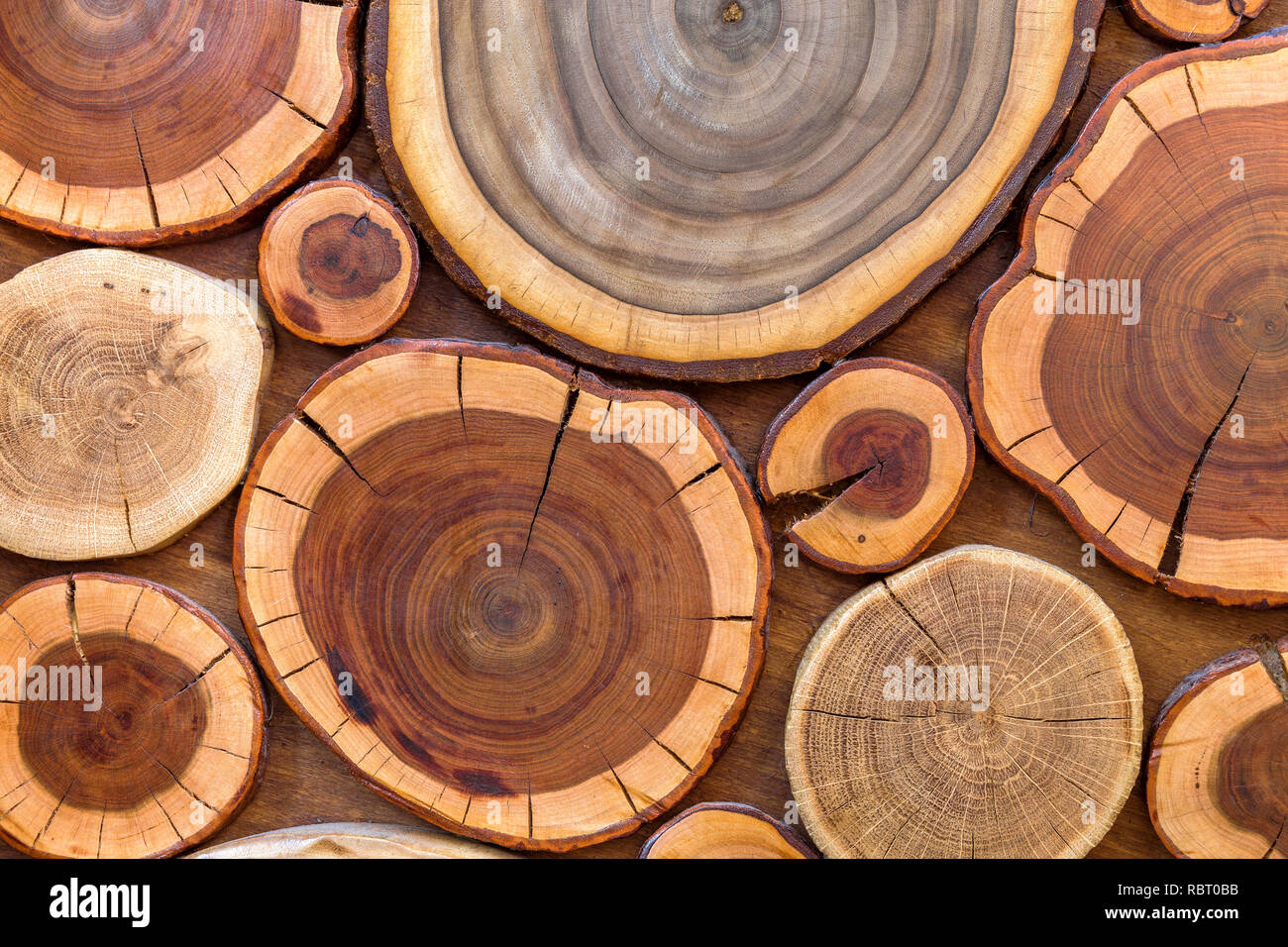 Round wooden unpainted solid natural ecological soft colored brown and ...