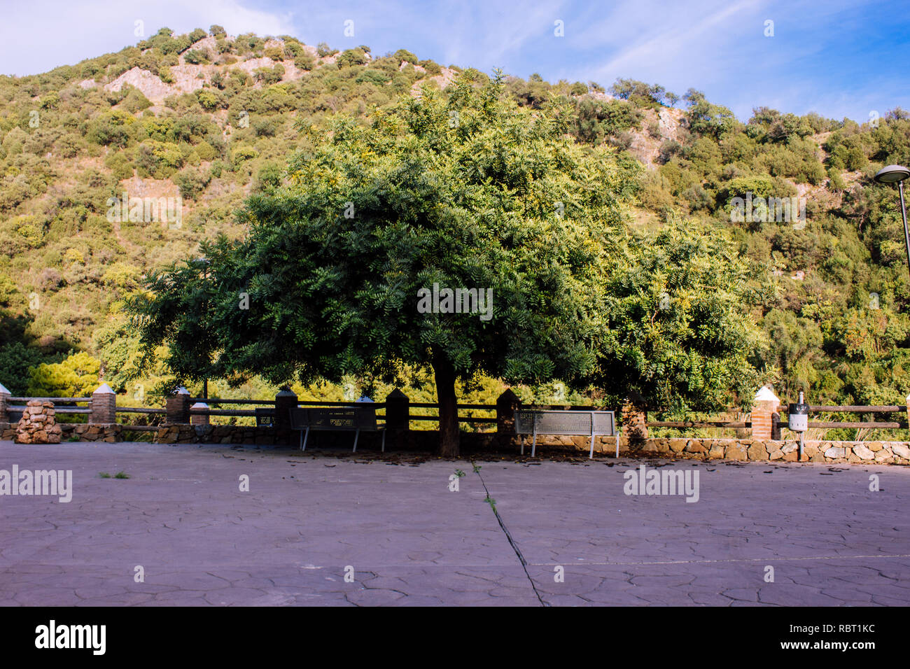 Path “Acequia del Guadalmina”. Benahavis, Costa del Sol, Andalusia ...