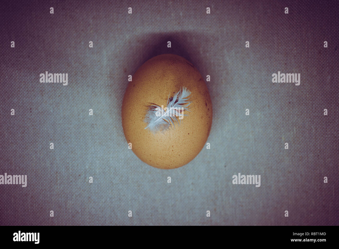 Egg. Hen egg and feather isolated over beige Stock Photo - Alamy