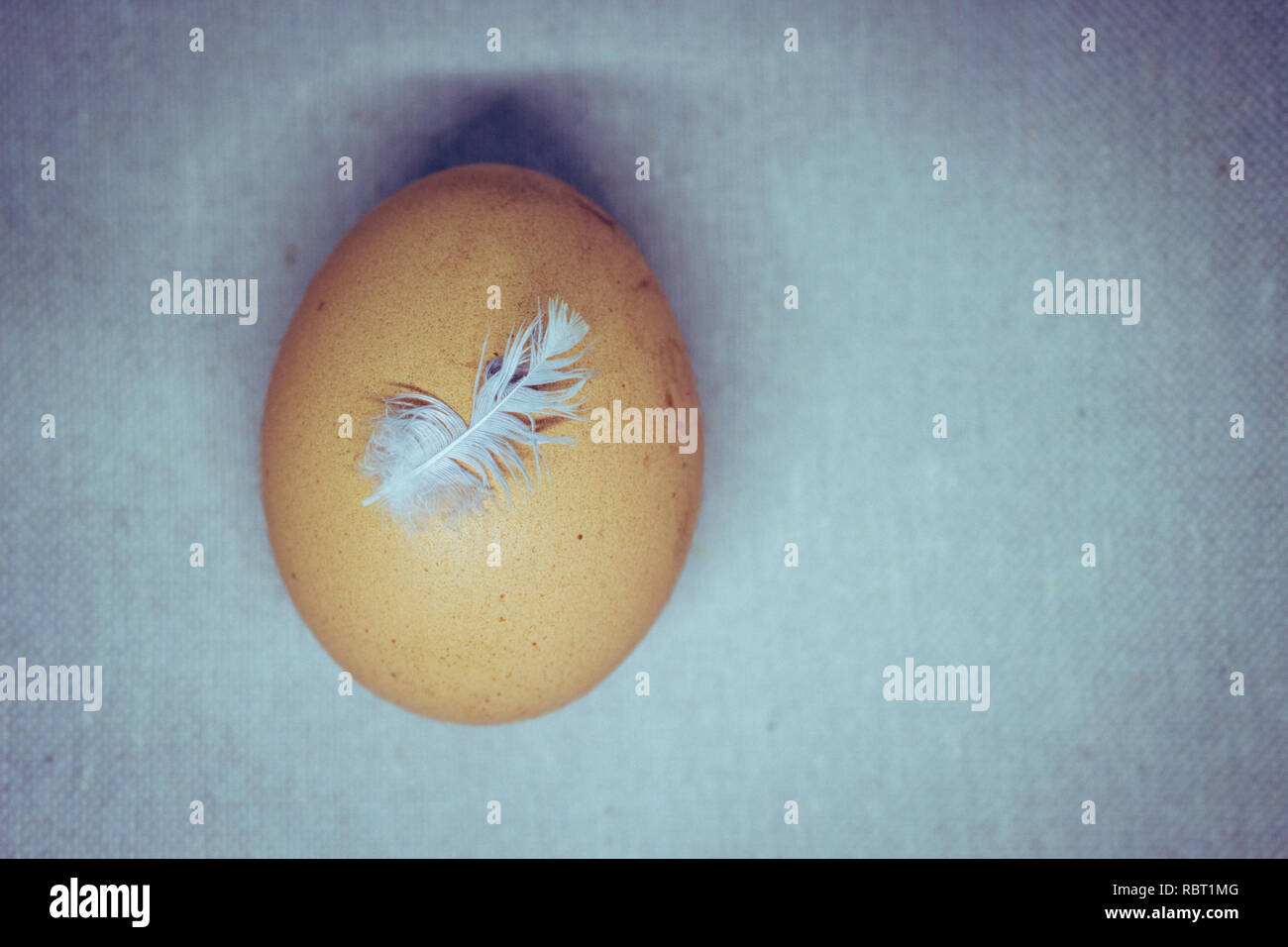 Egg. Hen egg and feather isolated over beige Stock Photo - Alamy