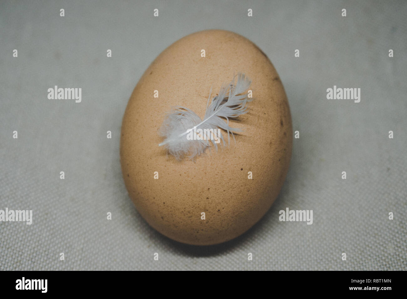 Egg. Hen egg and feather isolated over beige Stock Photo - Alamy