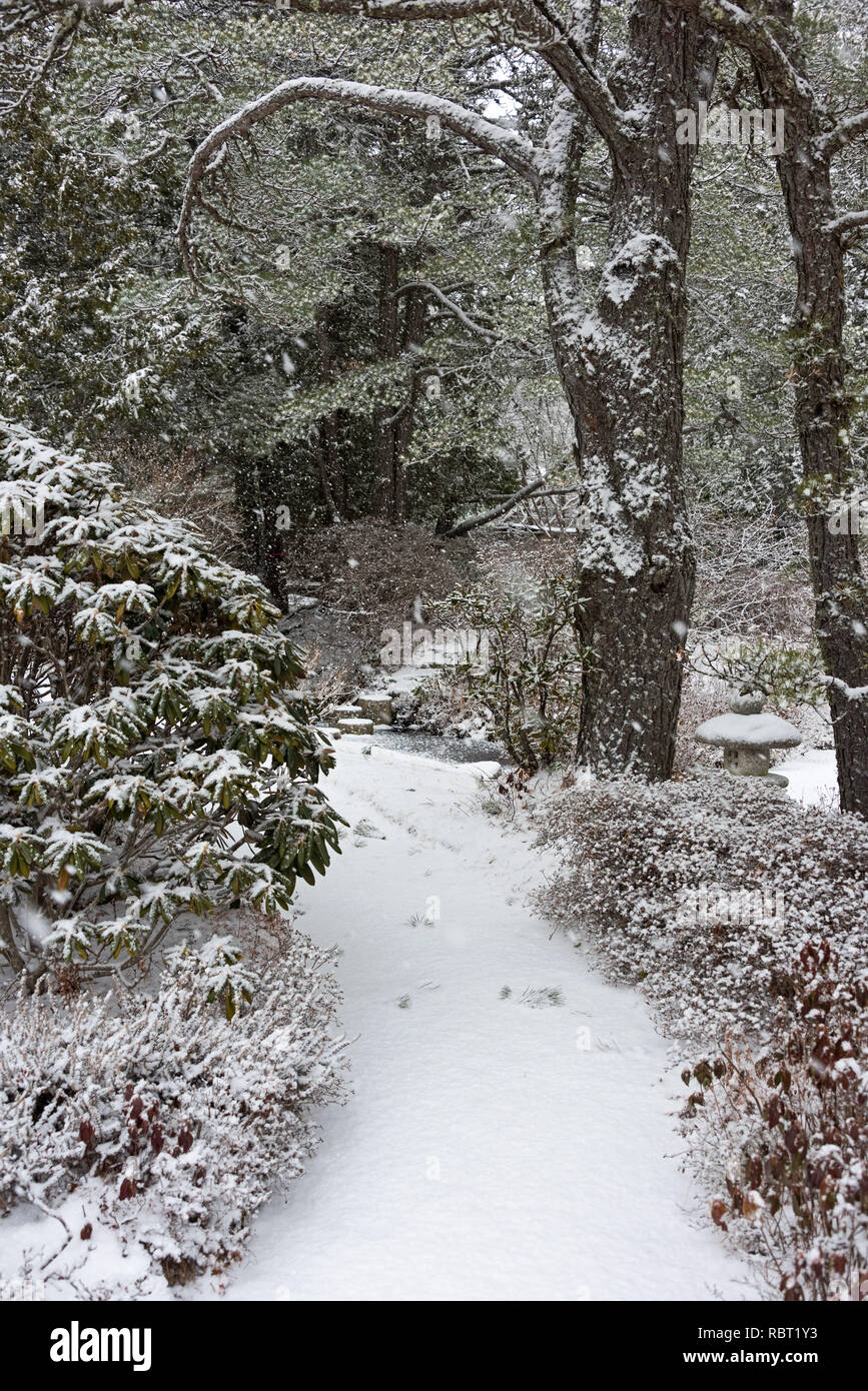 Snow covers a pathway at the Asticou Azalea Garden during a winter ...
