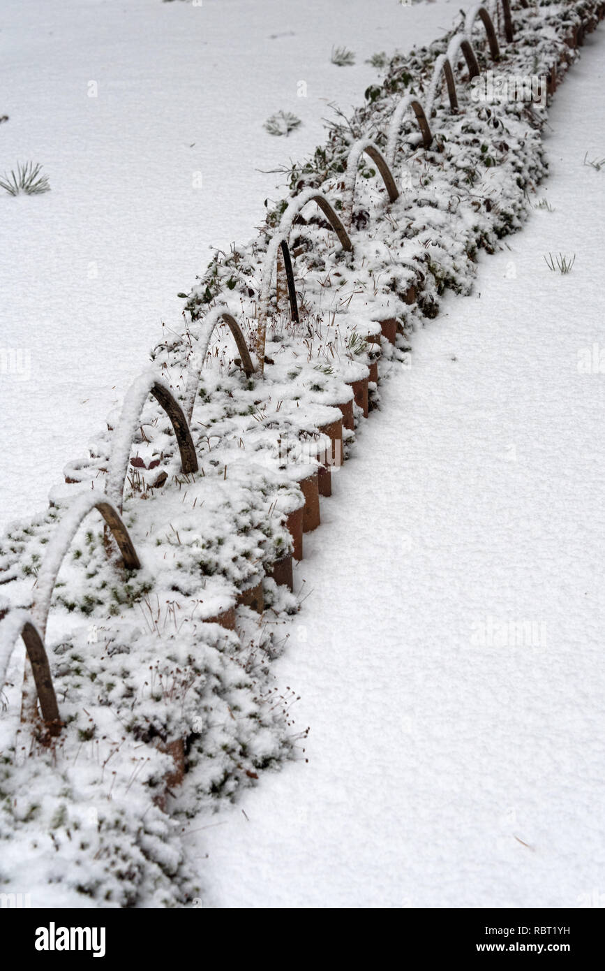 Brick edging hi-res stock photography and images - Alamy