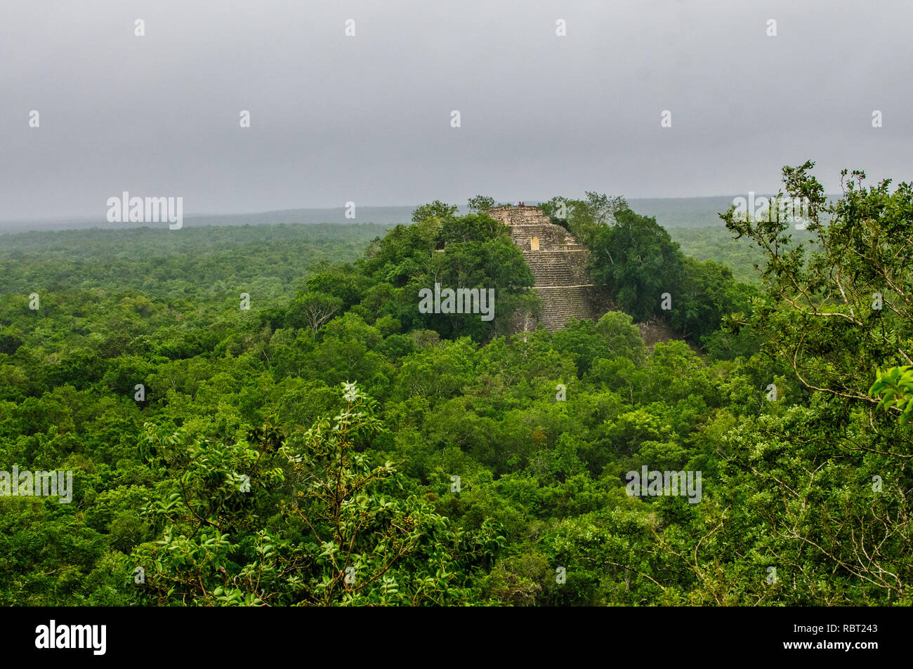 Calakmul, Mayan Pyramid High Resolution Stock Photography and Images ...