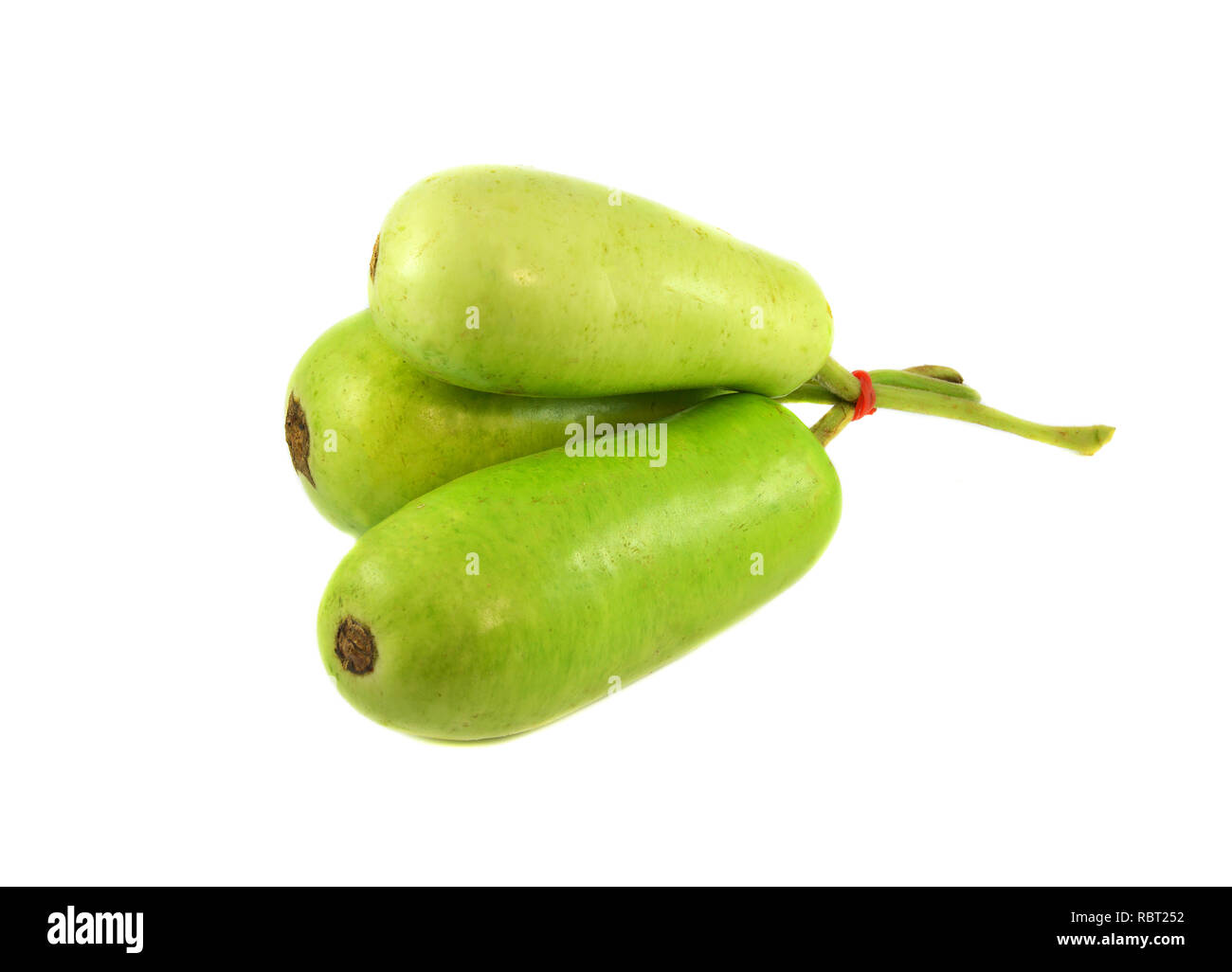 Bottle gourd isolated / Fresh of green bottle gourd vegetable for food ...