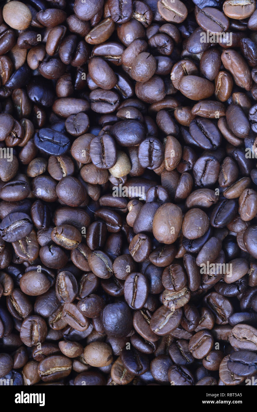 roasted arabica coffee beans, can be used as a background Stock Photo ...
