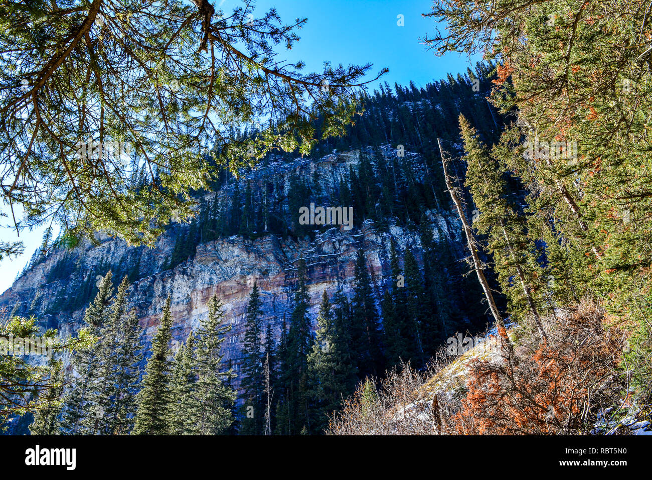 Rock face mountain trees hi-res stock photography and images - Alamy