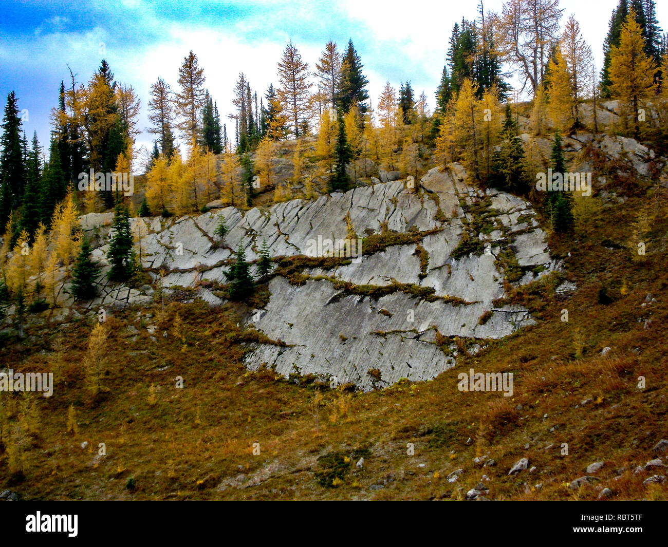 Rock outcrop in autumn in the mountains of Sunshine Meadows Stock Photo ...