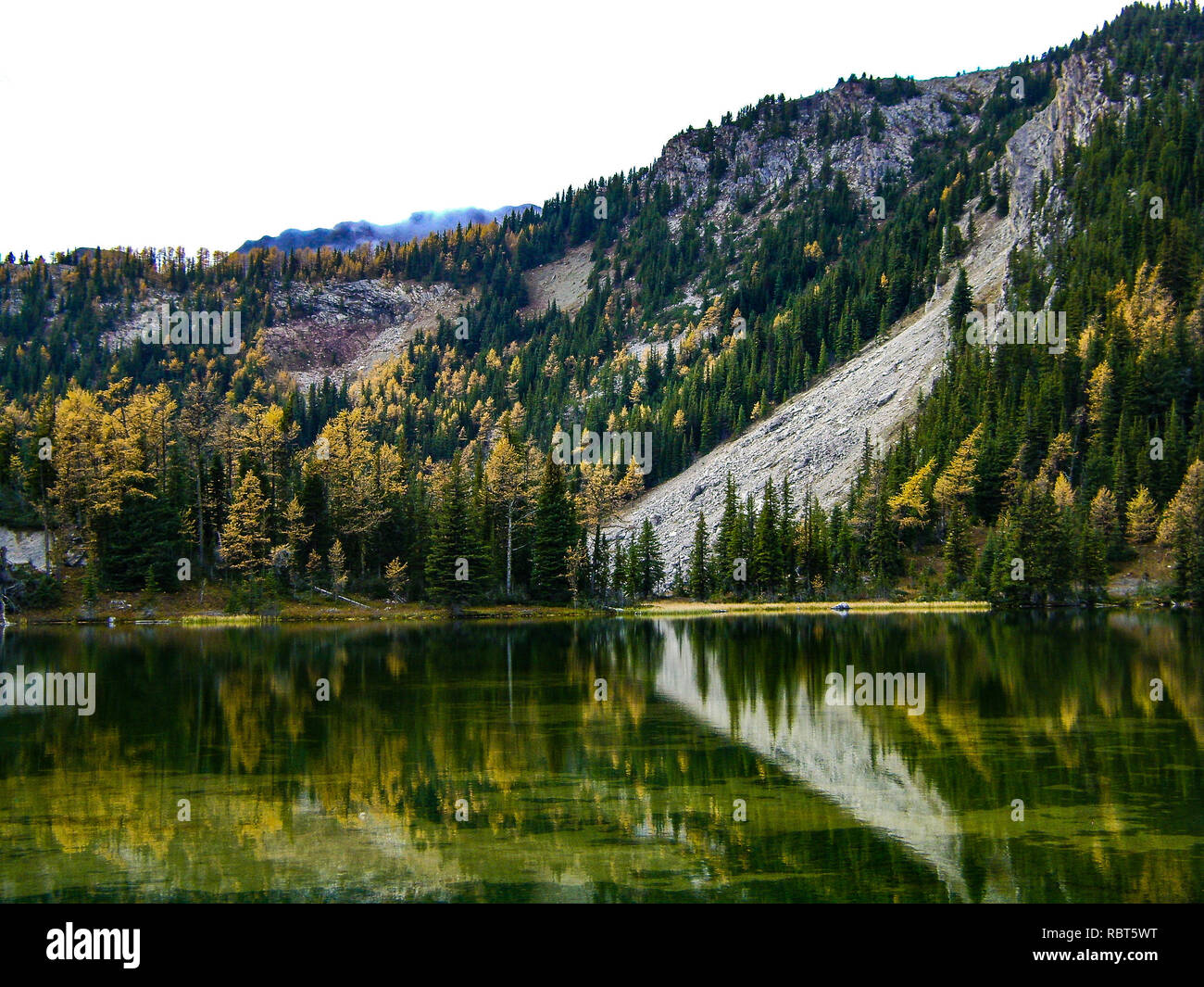 Mountain lake in Sunshine Meadows in Fall when larch trees turn yellow ...