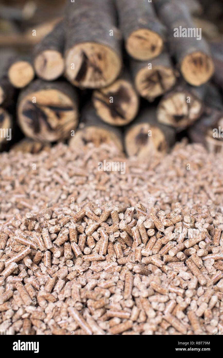 Pile of wooden biomass- compressed in pellets Stock Photo - Alamy