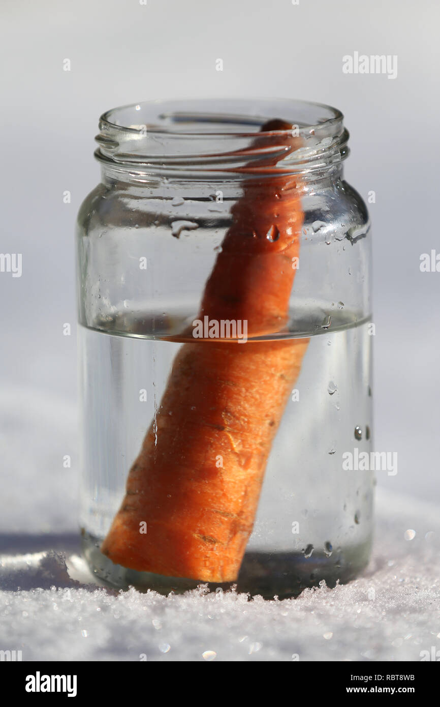 When the sun comes out snowman is melting in the garten. The snowman is ...