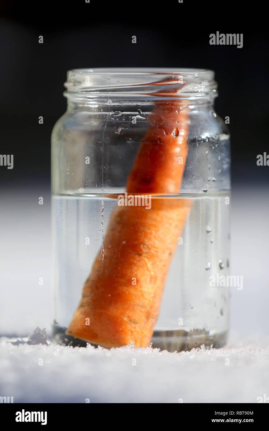 When the sun comes out snowman is melting in the garten. The snowman is ...