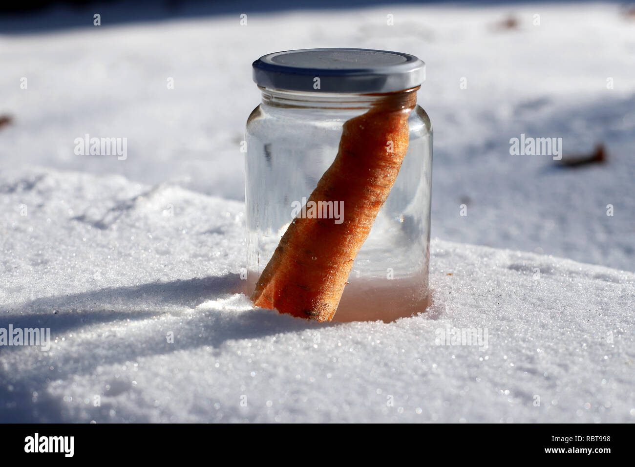 When the sun comes out snowman is melting in the garten. The snowman is ...