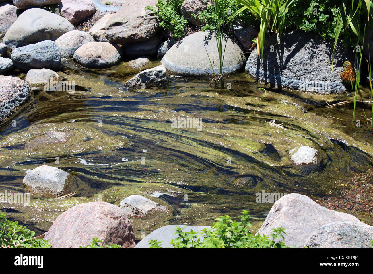 Stream and algae covered rocks hi-res stock photography and images - Alamy
